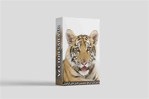 دانلود عکس ببر بدون پس زمینه Png برای فتوشاپ وکتور سرا