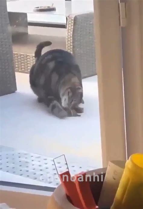 Chan On Twitter Https T Co Yc Wg O Twitter