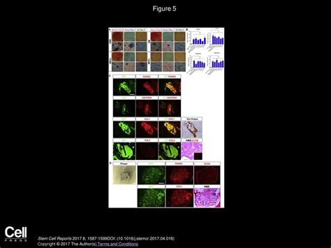 Volume 8 Issue 6 Pages June 2017 Ppt Download