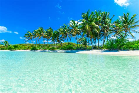 Aqua Beach Mural D Co Wallpaper