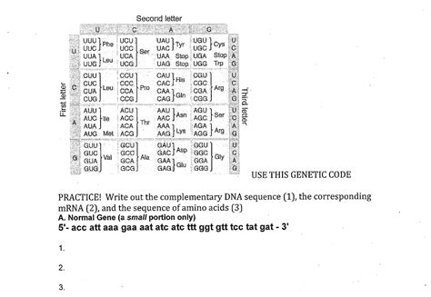 Solved PRACTICE Write Out The Complementary DNA Sequence Chegg Com
