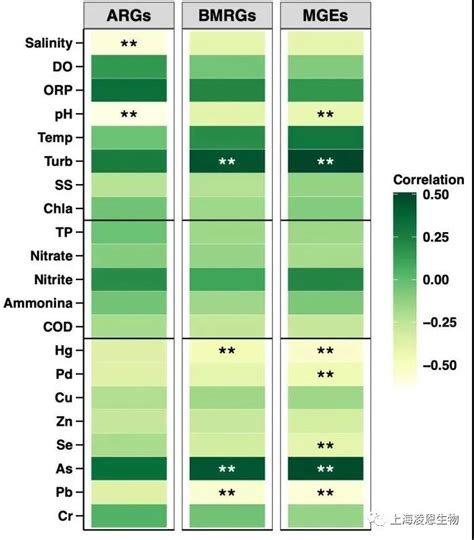 又双叒叕！五大数据库全方位注释，抗性宏基因组分析项目再次升级！ 宏基因组 Metal Database Csdn博客