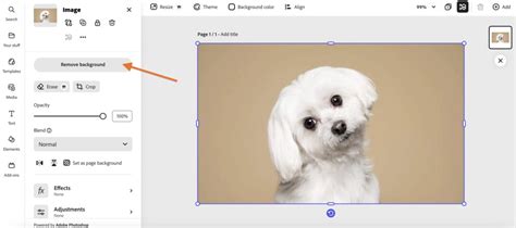 How To Remove Background In Photoshop Express Unlimited Graphic