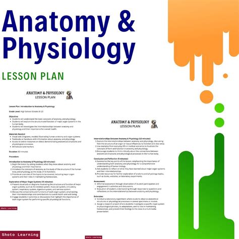 Human Biology Explorers Anatomy And Physiology Lesson Plan