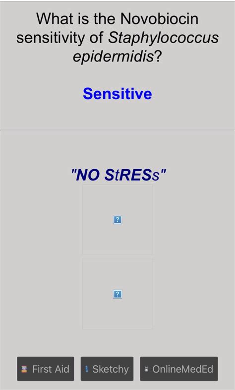 Im Using Anking Version 11 In Anki Pro App In An IOS Dispositive