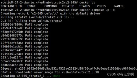 Vulhub Struts2 045cve 2017 5638漏洞复现vulhubstructs2 045 Csdn博客