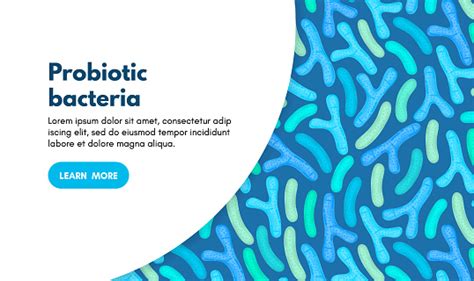 프로바이오틱스가 있는 벡터 배경 비피도박테리움 락토바실러스 유산균 미생물군유전체 프로바이오틱에 대한 스톡 벡터 아트 및 기타 이미지 프로바이오틱 마이크로바이옴