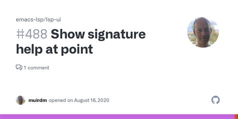Show Signature Help At Point · Issue 488 · Emacs Lsplsp Ui · Github