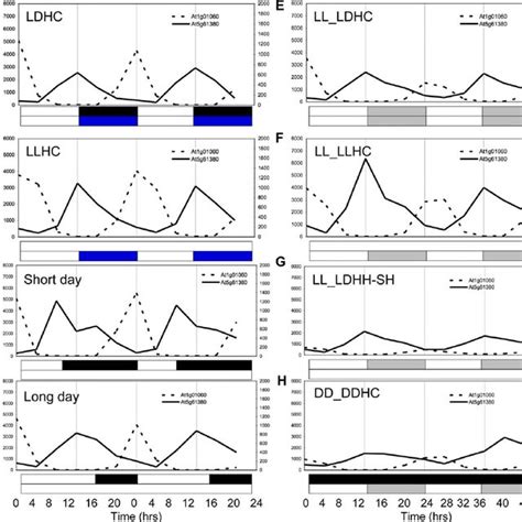The Three Cis Regulatory Modules Are Conserved Across Species Z Score Download Scientific
