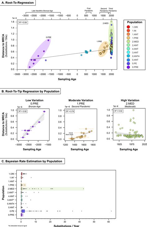 Substitution Rate Variation In Y Pestis A A Root To Tip Regression On Download Scientific