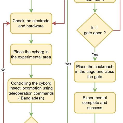 Overall Experimental Methods Flow Chart Download Scientific Diagram Overall Experimental Methods Flow Chart Download Scientific Diagram