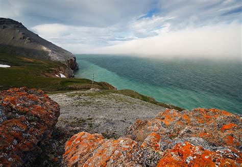 Chukotka The Marvelous World Of The Arctic Nature Russia Beyond