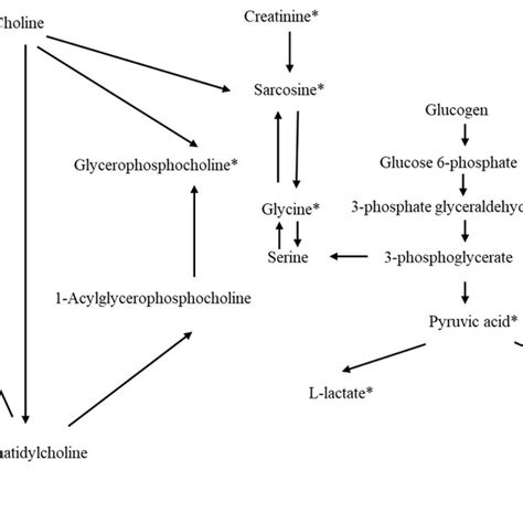 Metabolic Network Of Significantly Altered Metabolites Significantly Download Scientific