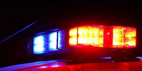 Нохойгоо салхилуулах гэж байсан охины биед халдсан иргэнийг 300 000 төгрөгөөр торгожээ ТАС МН