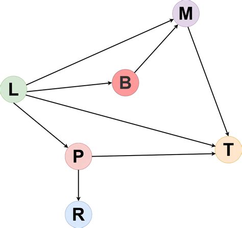 Data Structure Graph Bigboxcode