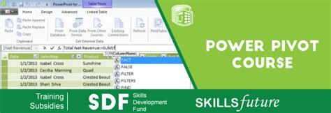 Excel Power Pivot Training Singapore Ms Excel Power Bi Courses