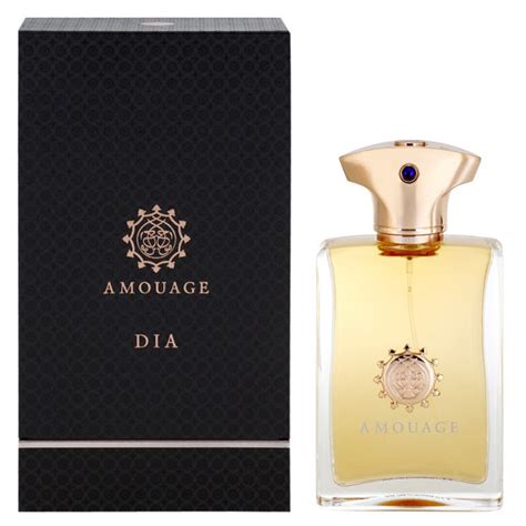 Dia By Amouage 100ml Edp For Men Perfume Nz