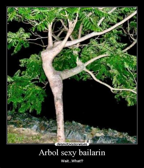 Arbol Sexy Bailarin Desmotivaciones
