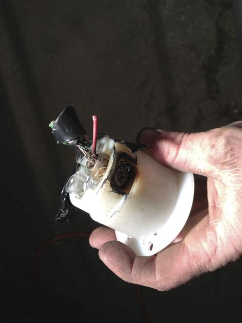 Plug Bug Burnt Plugs Corbin S Treehouse