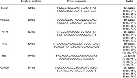 Primer Sequences And Cycling Conditions In Rt Pcr Download Table