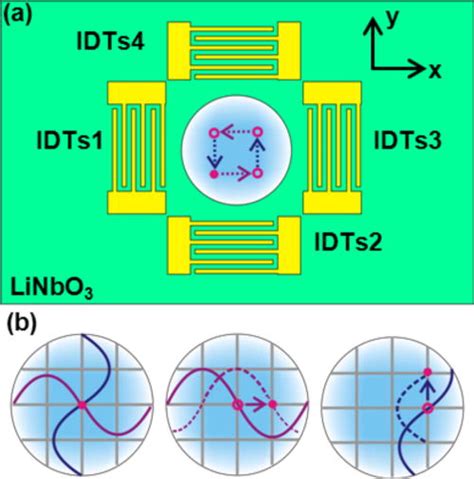 Precise And Programmable Manipulation Of Microbubbles By Two
