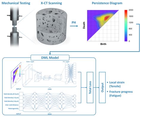 Scheme Of The Proposed Method The Method Accepts X Ct Images Download Scientific Diagram