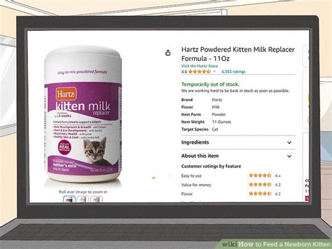 How To Feed A Newborn Kitten Steps With Pictures WikiHow