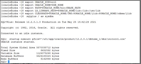 How To Create Manual Database In Oracle Asm File System Using Cloud Instance Doyensys Blog