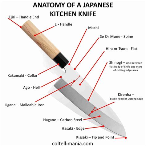 Usuba Knife Complete Guide To Features And Use In The Kitchen