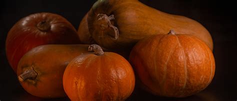 검은 배경에 노란색주황색 호박 할로윈의 개념과 호박의 가을 수확 클로즈업 복사 공간 위에서 0명에 대한 스톡 사진 및 기타 이미지 Istock