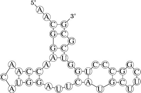 Figure 11 From Computational Complexity And Practical Implementation