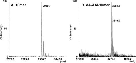 Maldi Tof Mass Spectroscopy A Unmodified 10 Mer B Da Aa I Modified Download Scientific