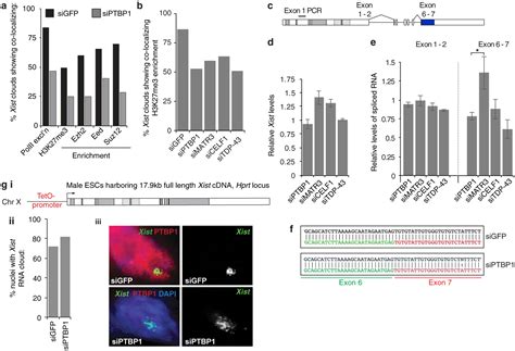 A Protein Assembly Mediates Xist Localization And Gene Silencing Pmc
