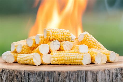 Environmentally Friendly And Low Carbon Corn Cobs Picture And Hd Photos