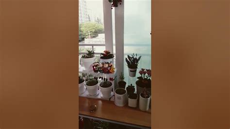베란다 정리정돈 청소의 끝은 어디인가요 Youtube