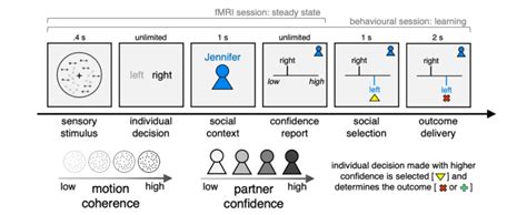 Experimental Framework For Dissociating Private And Public Confidence Download Scientific