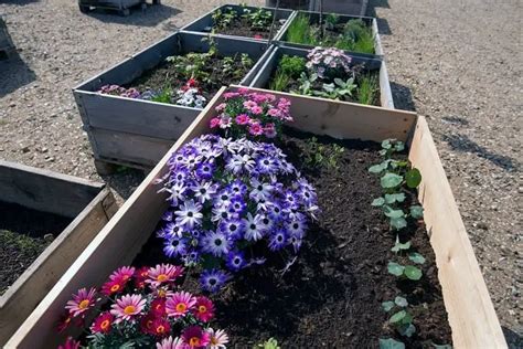 How To Break Down Clay Soil Fast Gardening Dream