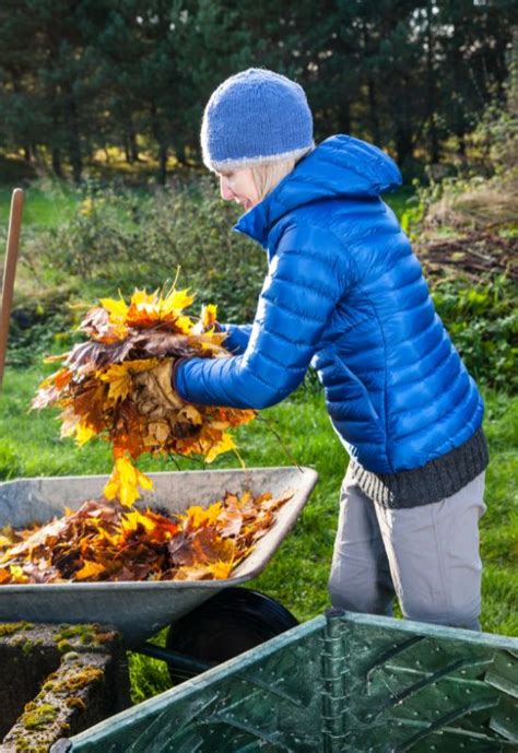 How To Compost Leaves Fast 5 Tricks To Speed Up Your Leaf Compost Pile