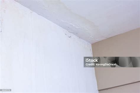 홍수의 위험을 나타내는 보기 흙 물 천장 누수 및 곰 팡이 성장 0명에 대한 스톡 사진 및 기타 이미지 0명 곰팡이 구멍 Istock