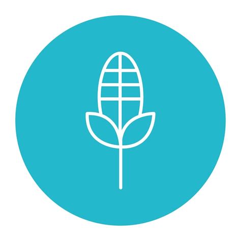 Premium Vector Corn Vector Illustration