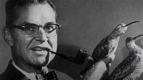 La Increíble Historia Del Verdadero James Bond El Experto En Aves Que