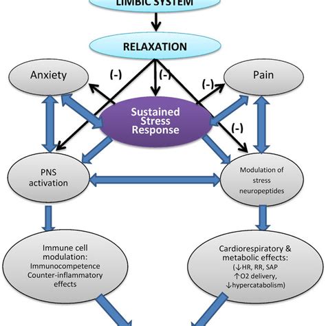 The Stetler Model Of Research Utilization Download Scientific Diagram