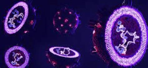 Nat Rev Mol Cell Biol：细胞外囊泡生物发生和货物选择的特定环境调节 知乎