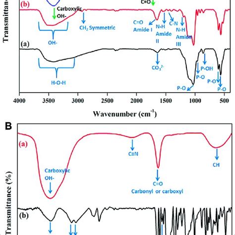 Ft Ir Spectra Of A A Hap Ceramic B Hapcol Composite C Download Scientific Diagram