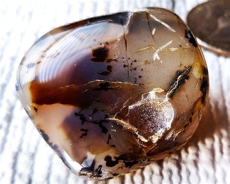 438 Montana Moss Agate Yellowstone River Moss Agate Montana Agate