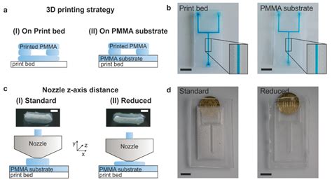 Fused Deposition Modeling Of Microfluidic Chips In Polymethylmethacrylate