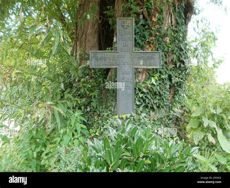 The 20110706almet10 Is A Reference Code Related To A Specific Event Or Data Collection On July 6