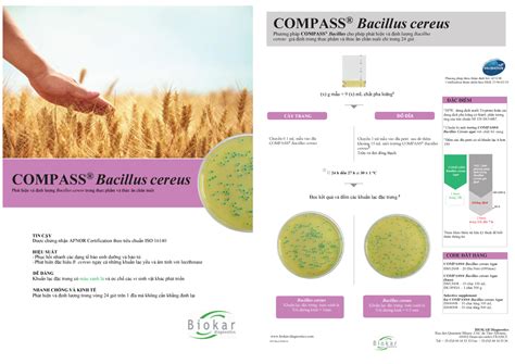 Compass® Bacillus Cereus Agar Compass® Bacillus Plus Agar Dongnamlab