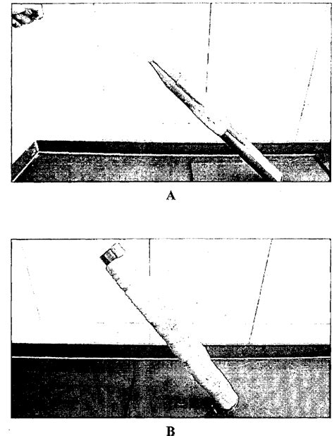 Figure 1 From Natural Casing Obtaned By Sad Method And Filled Product