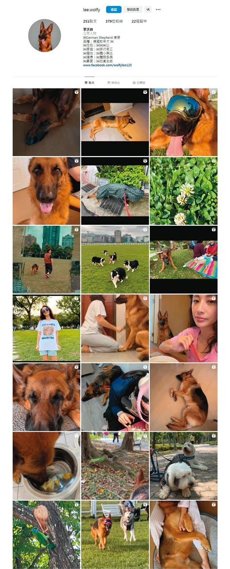 【熊爸估狗】德國牧羊犬會咬人 李蒨蓉智慧化解暴衝天性 Yahoo奇摩汽車機車